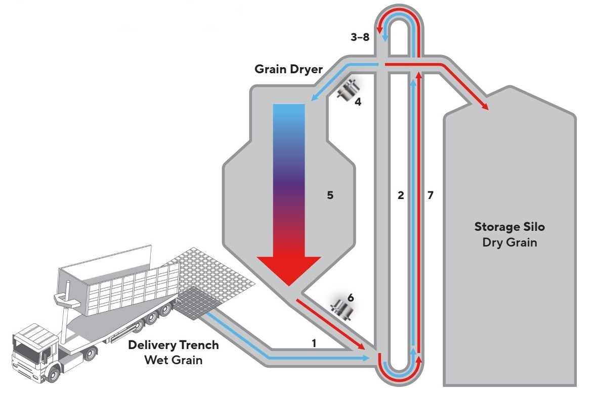 Controlling moisture in cereal grain drying processes - Hydronix